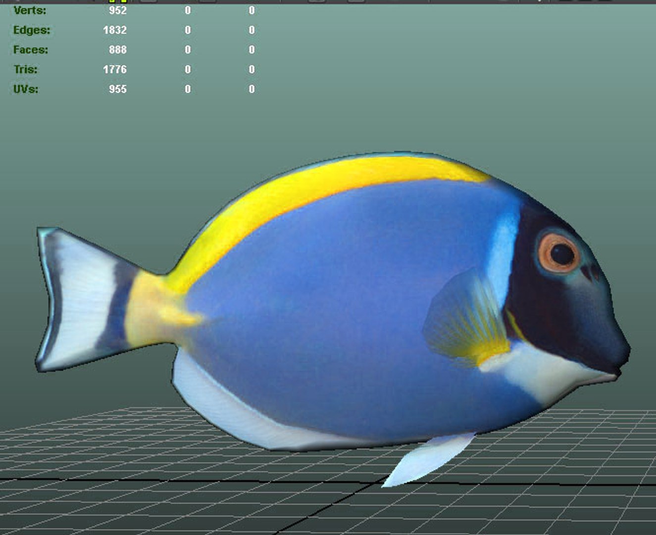 3D Powder Red Tang - TurboSquid 1244940