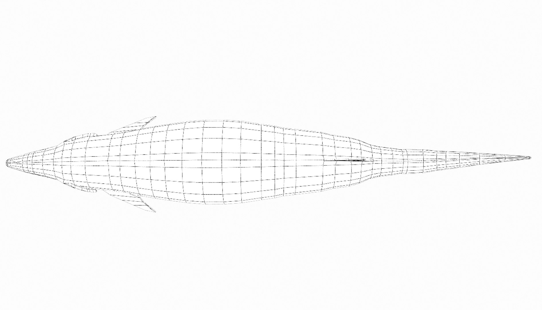 Fish Sturgeon 3D Model - TurboSquid 1263247