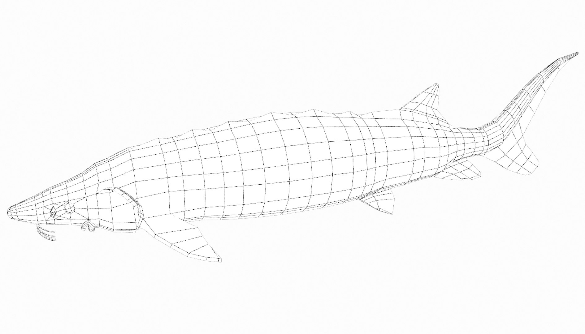 Fish Sturgeon 3D Model - TurboSquid 1263247