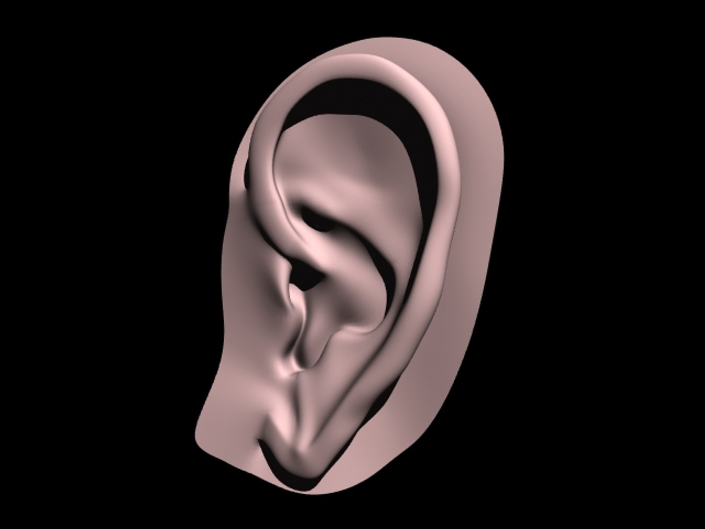 3d Model Human Ear