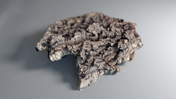 Cork 3D model - TurboSquid 1494206