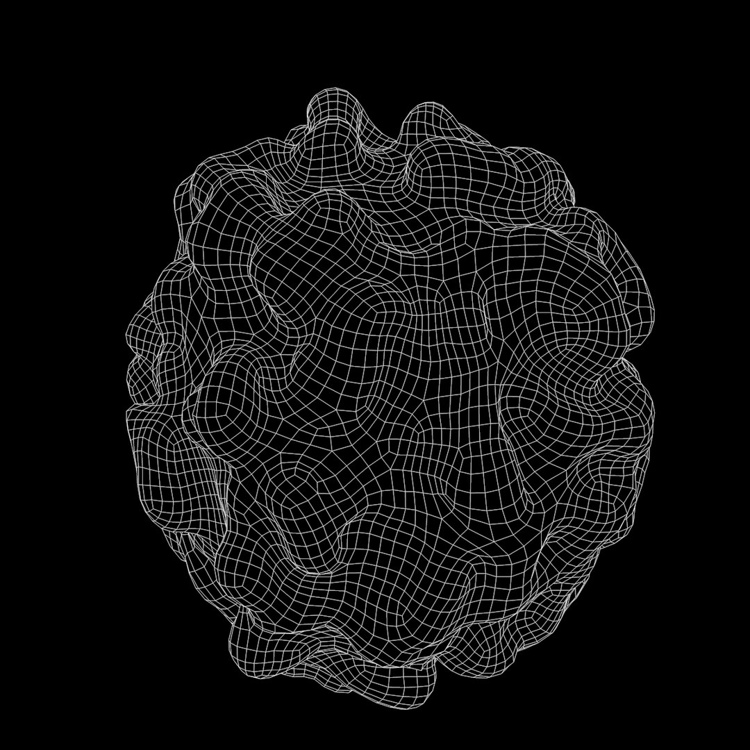 3D T Lymphocytes Model - TurboSquid 1388053