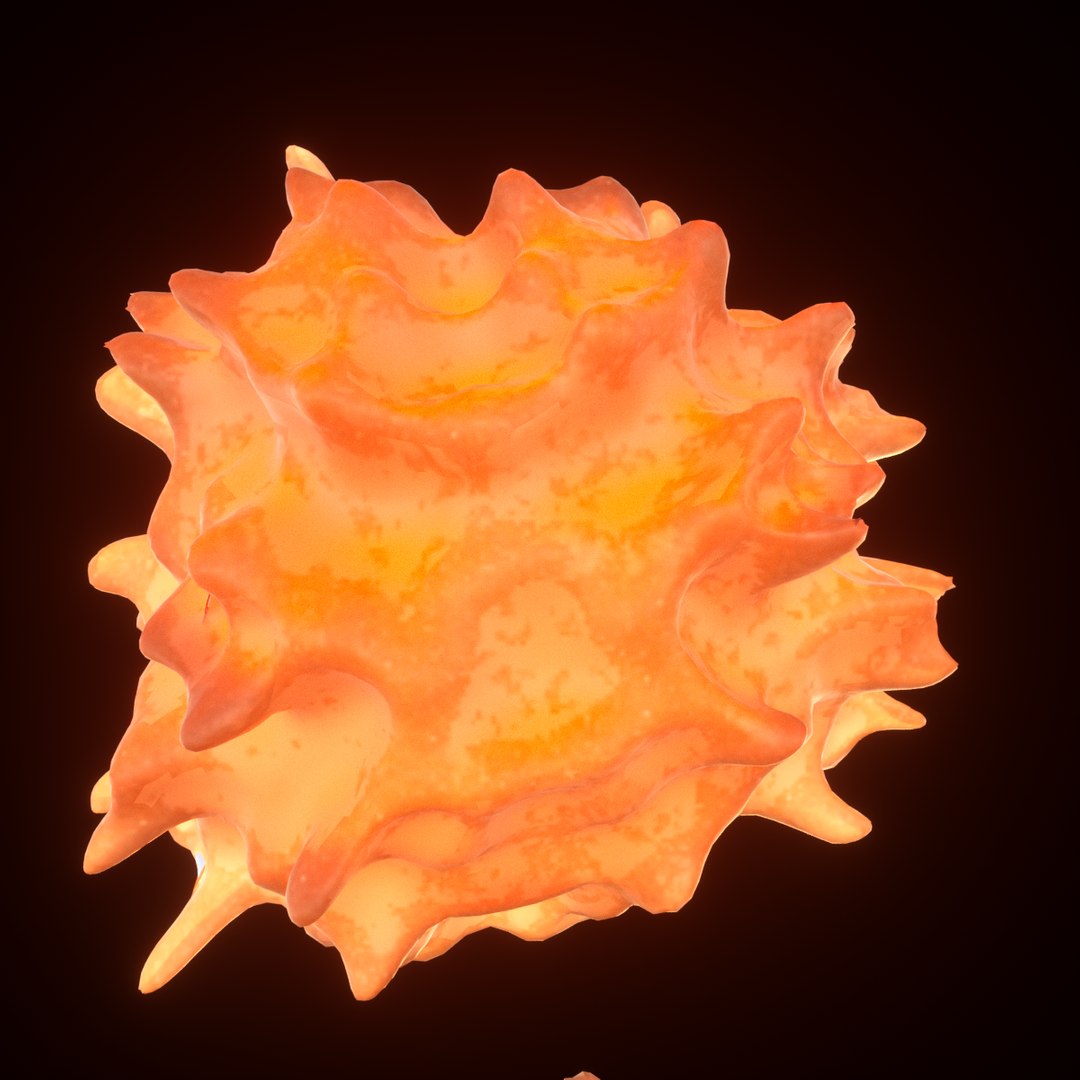 3D T Lymphocytes Model - TurboSquid 1388053