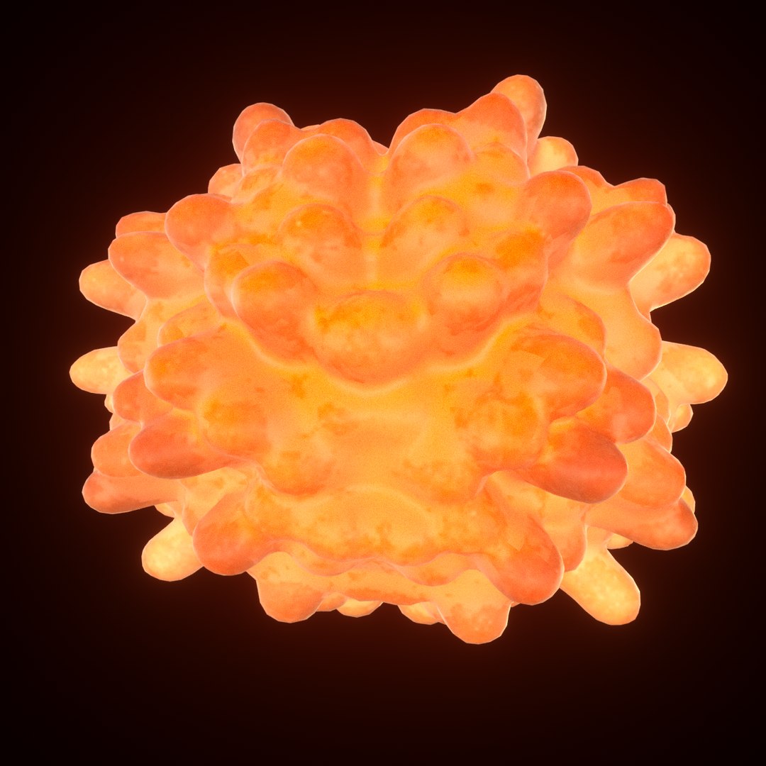 3D T Lymphocytes Model - TurboSquid 1388053