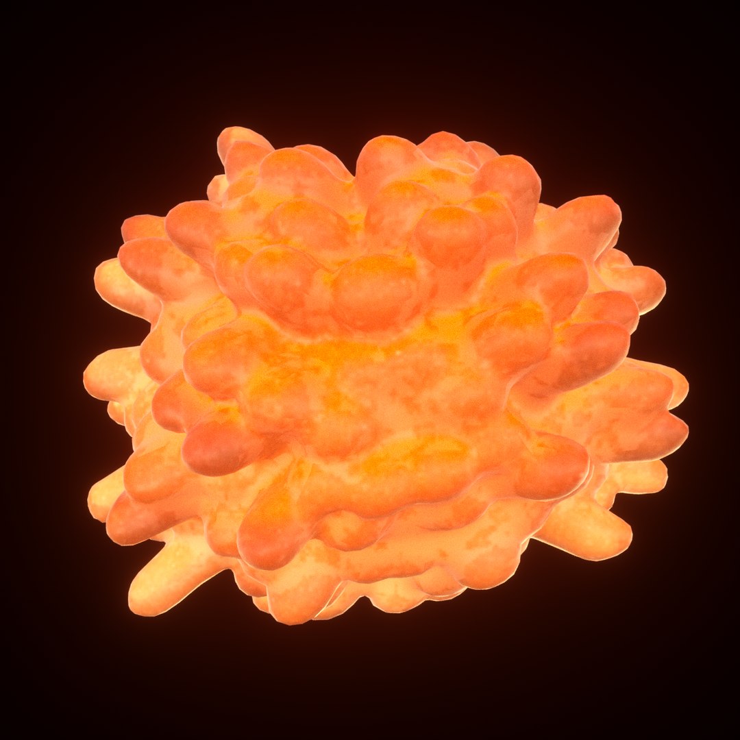 3D T Lymphocytes Model - TurboSquid 1388053