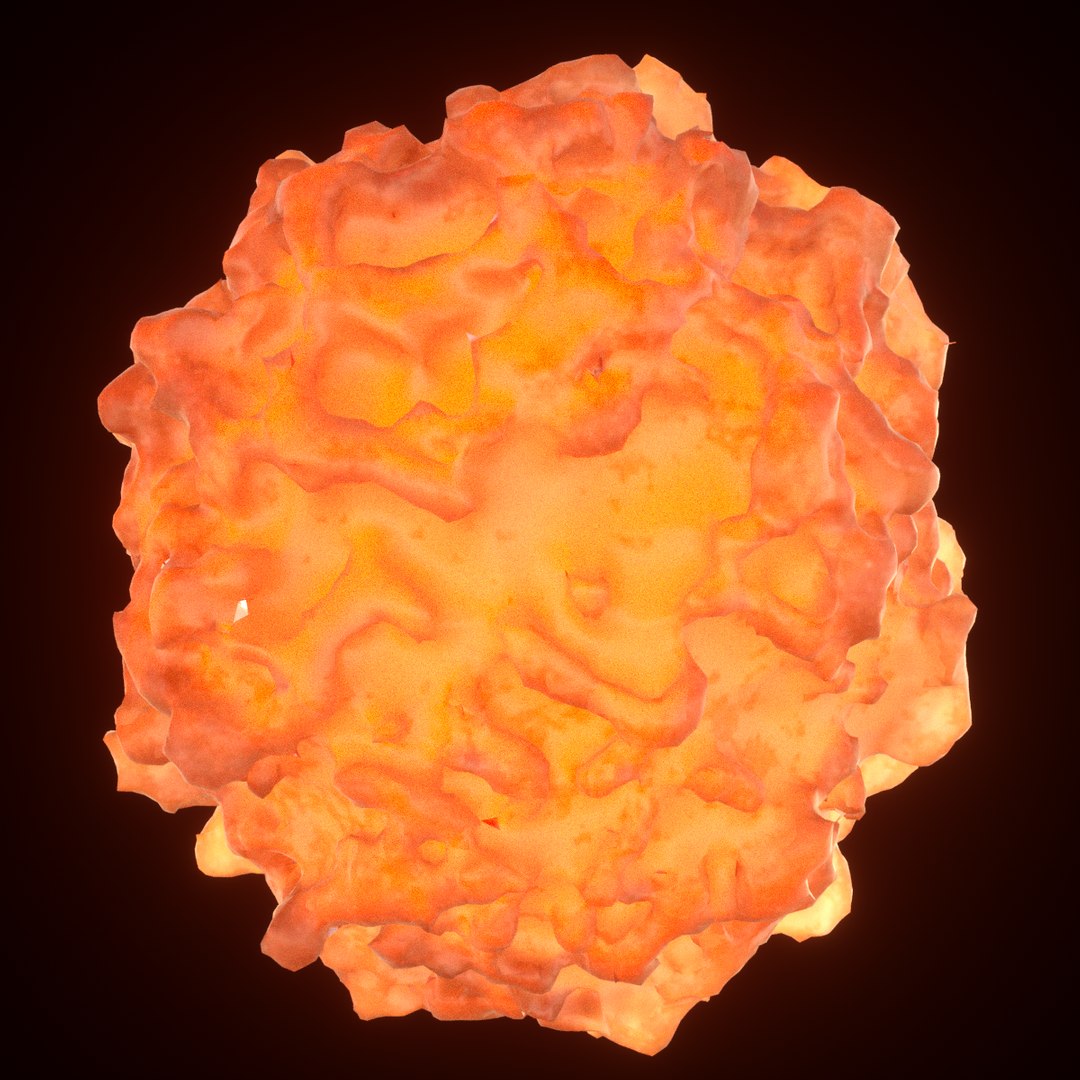 3D T Lymphocytes Model - TurboSquid 1388053
