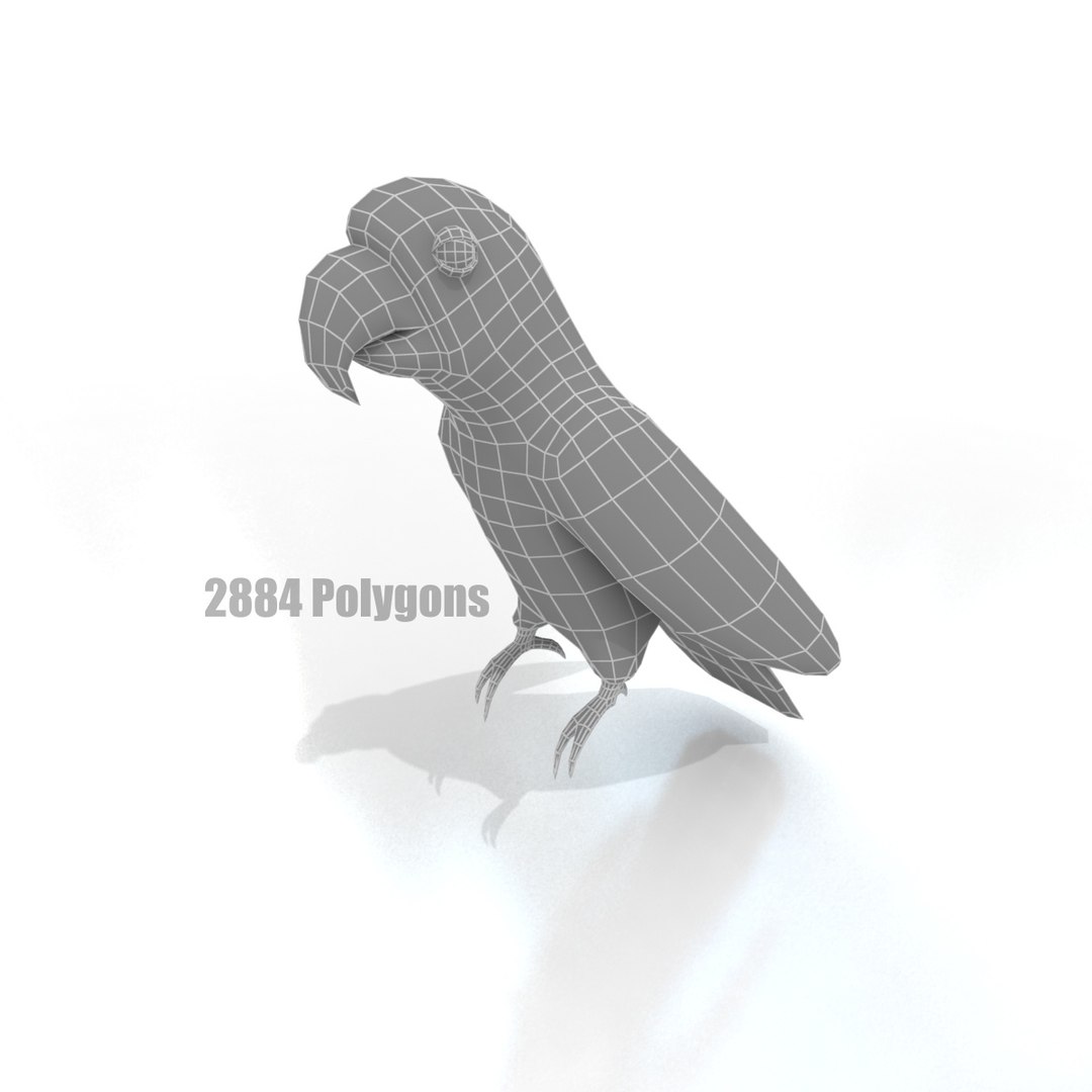 cartoon parrot rigged 3d model