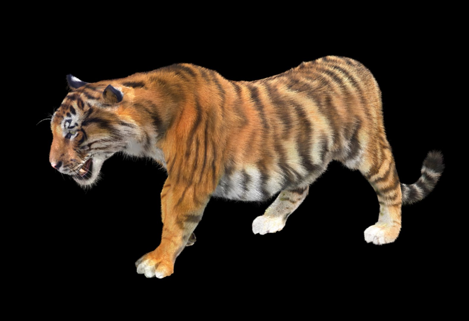 Tiger Rigging 3D - TurboSquid 1169417