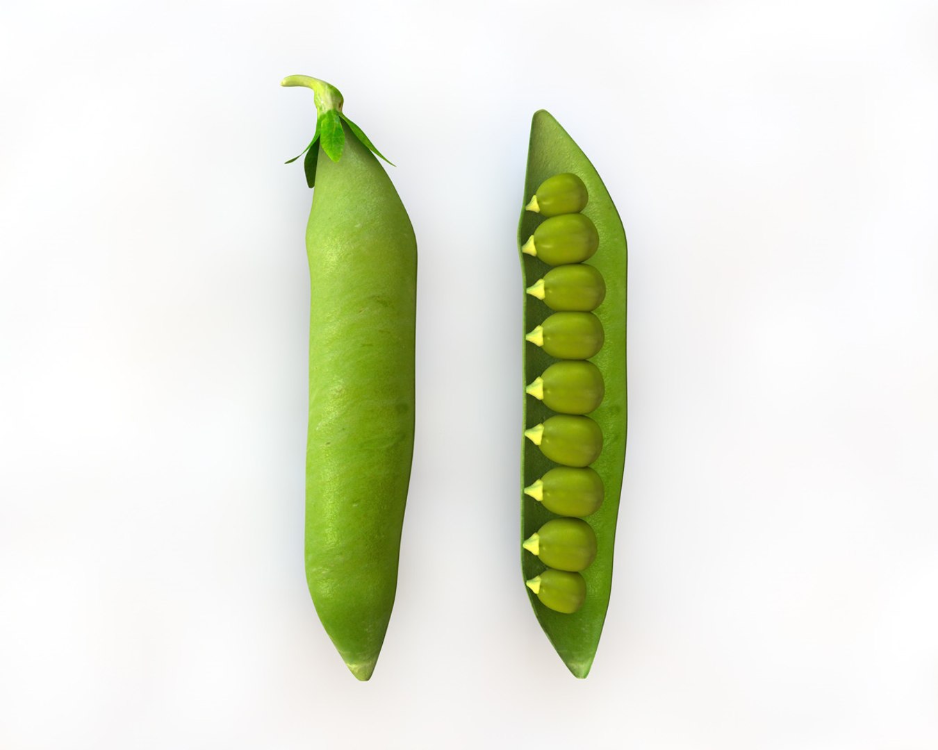 3D Model Peas - TurboSquid 1544556