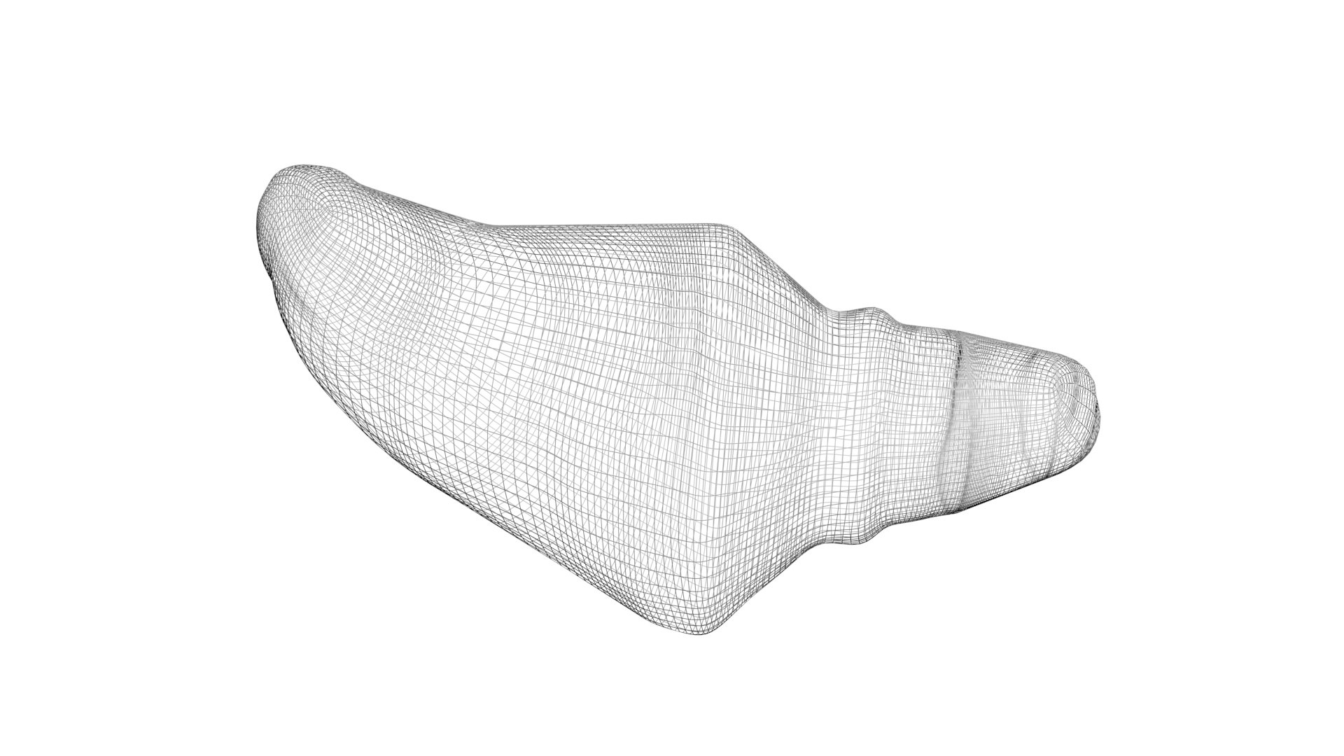 Dolphin Tooth 3D Model - TurboSquid 2443741