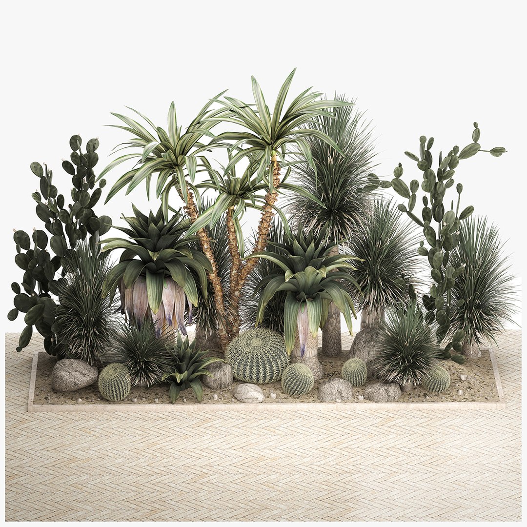 Collection Of Tropical Desert Plants 1108 3D Model - TurboSquid 1855624