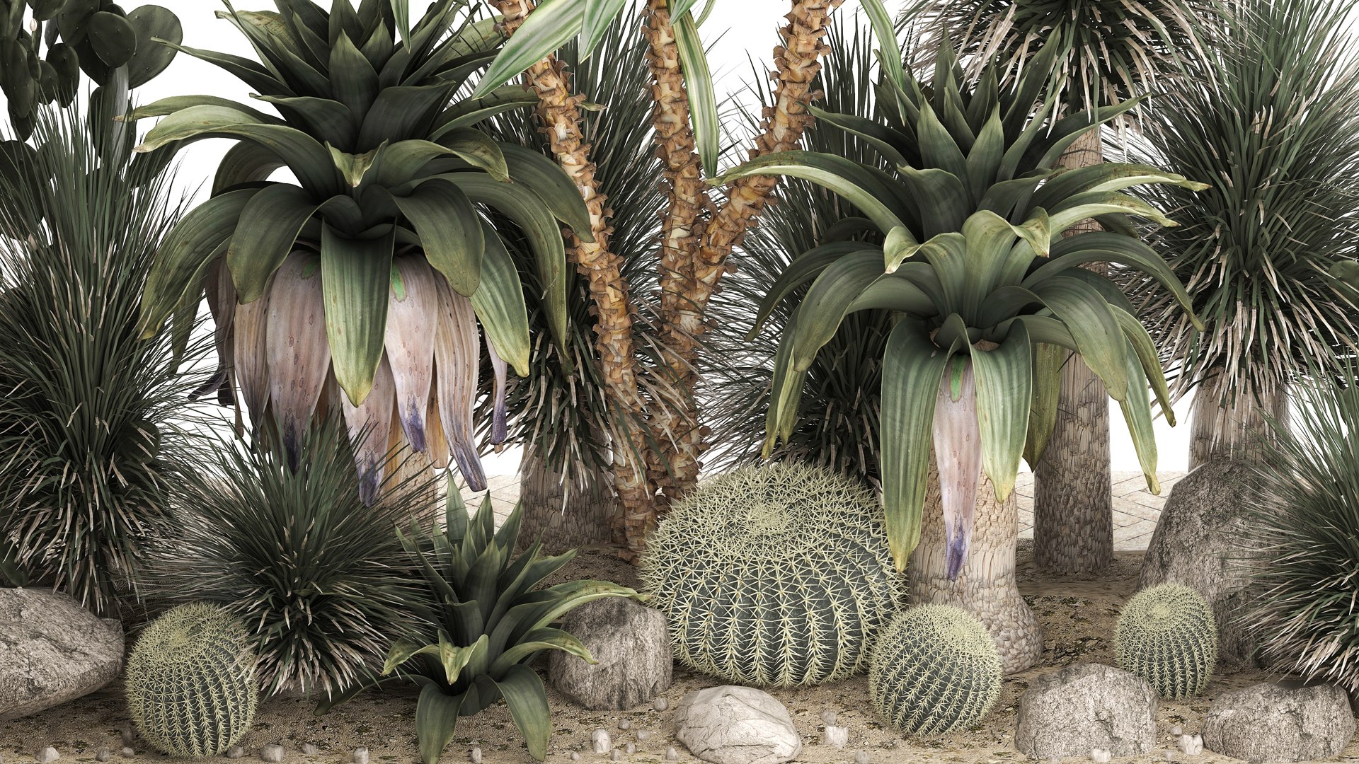 Collection Of Tropical Desert Plants 1108 3D Model - TurboSquid 1855624
