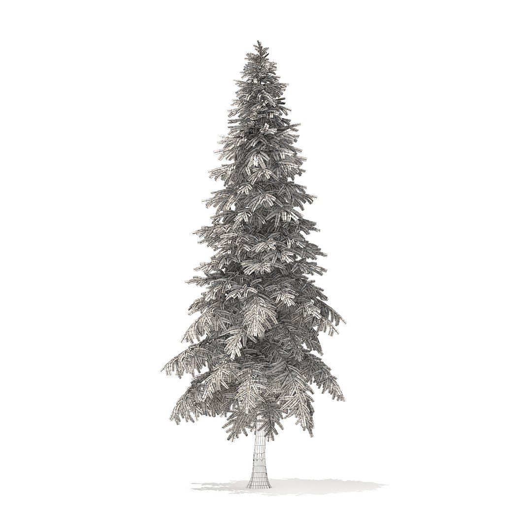 3D Spruce Tree Model - TurboSquid 1273658