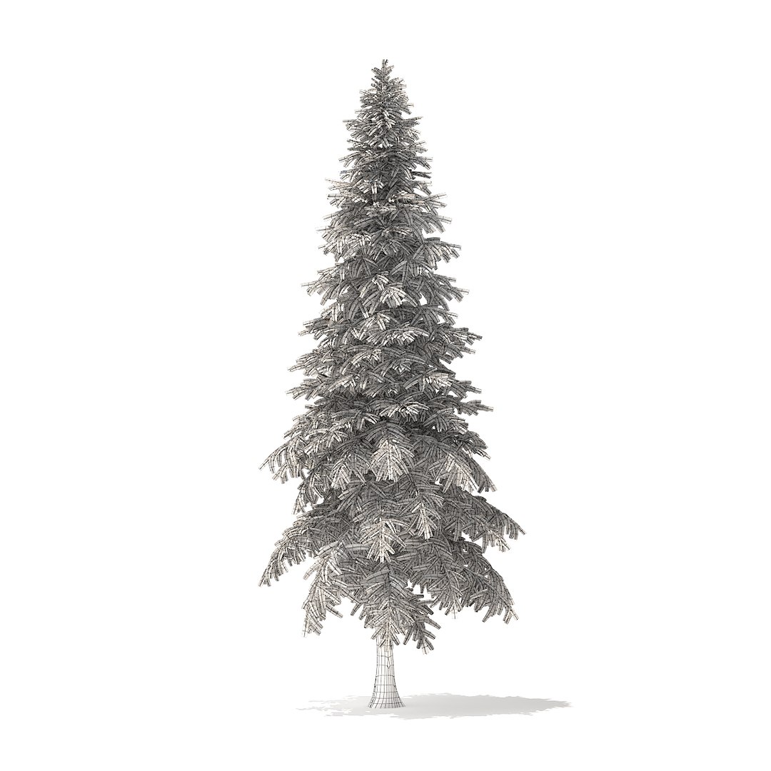 3D Spruce Tree Model - TurboSquid 1273658