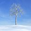 archmodels vol 100 winter trees 3d model