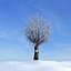 archmodels vol 100 winter trees 3d model