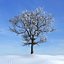 Archmodels Vol 100 Winter Trees 3d Model
