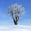 Archmodels Vol 100 Winter Trees 3d Model