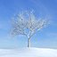 Archmodels Vol 100 Winter Trees 3d Model