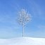 Archmodels Vol 100 Winter Trees 3d Model