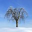 Archmodels Vol 100 Winter Trees 3d Model
