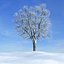 archmodels vol 100 winter trees 3d model