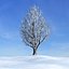 Archmodels Vol 100 Winter Trees 3d Model