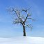 Archmodels Vol 100 Winter Trees 3d Model