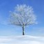 archmodels vol 100 winter trees 3d model