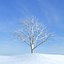 Archmodels Vol 100 Winter Trees 3d Model