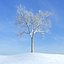 Archmodels Vol 100 Winter Trees 3d Model