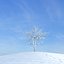 Archmodels Vol 100 Winter Trees 3d Model