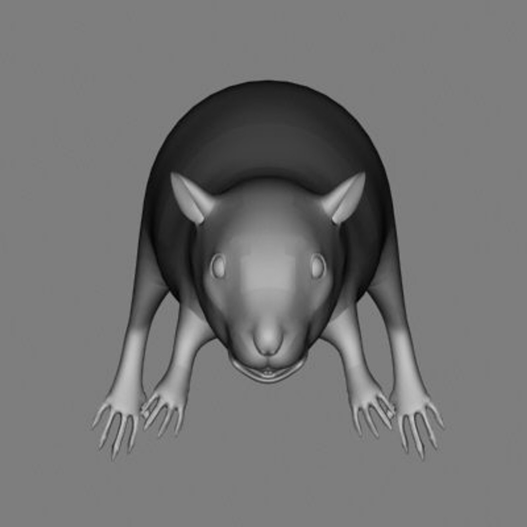 x rat