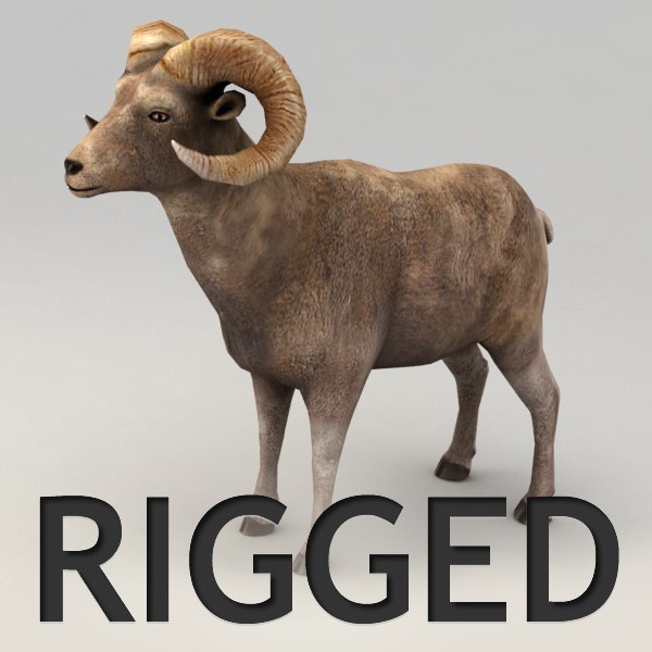 nubian ibex 3d model