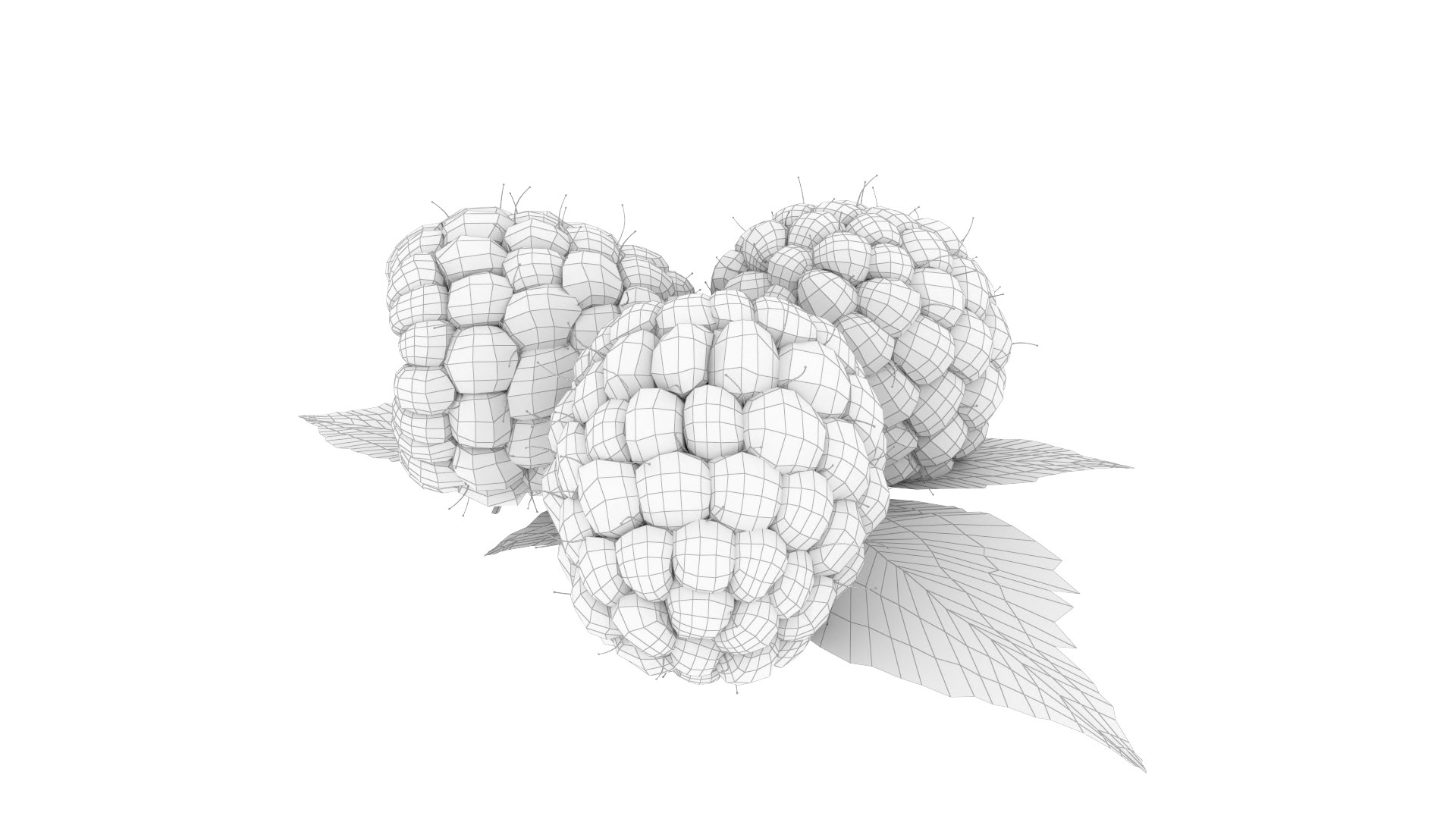 Raspberry 3D Model - TurboSquid 2024831