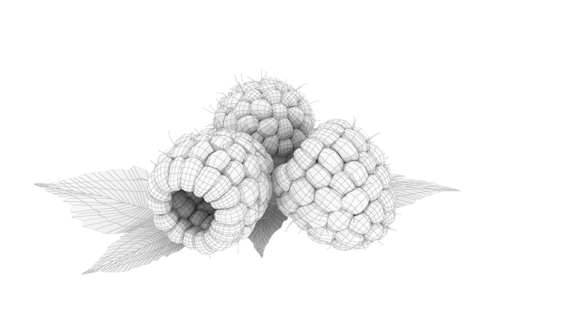 Raspberry 3D Model - TurboSquid 2024831