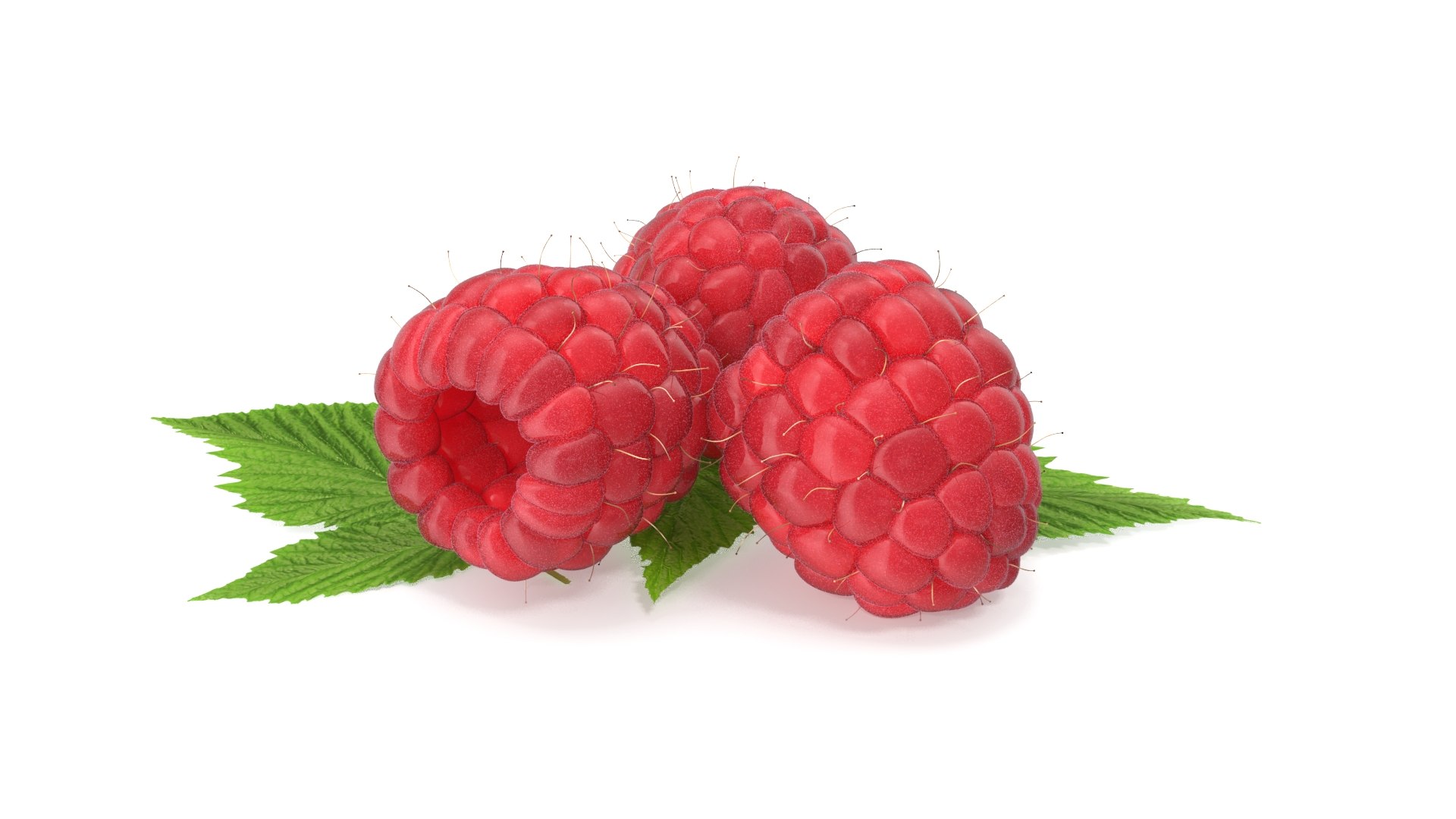 Raspberry 3D Model - TurboSquid 2024831