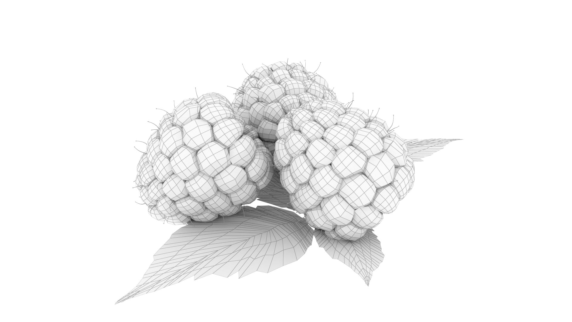 Raspberry 3D Model - TurboSquid 2024831