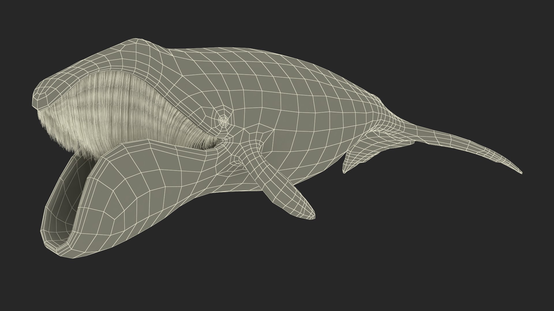 3D model Sea Animal Bowhead Whale Rigged for Maya - TurboSquid 2131871
