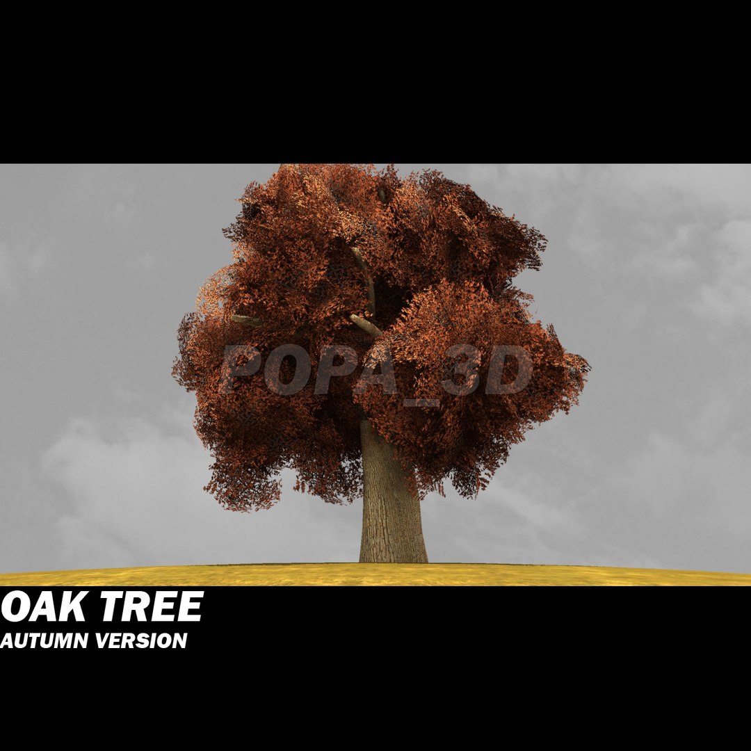 3d Model Oak Tree