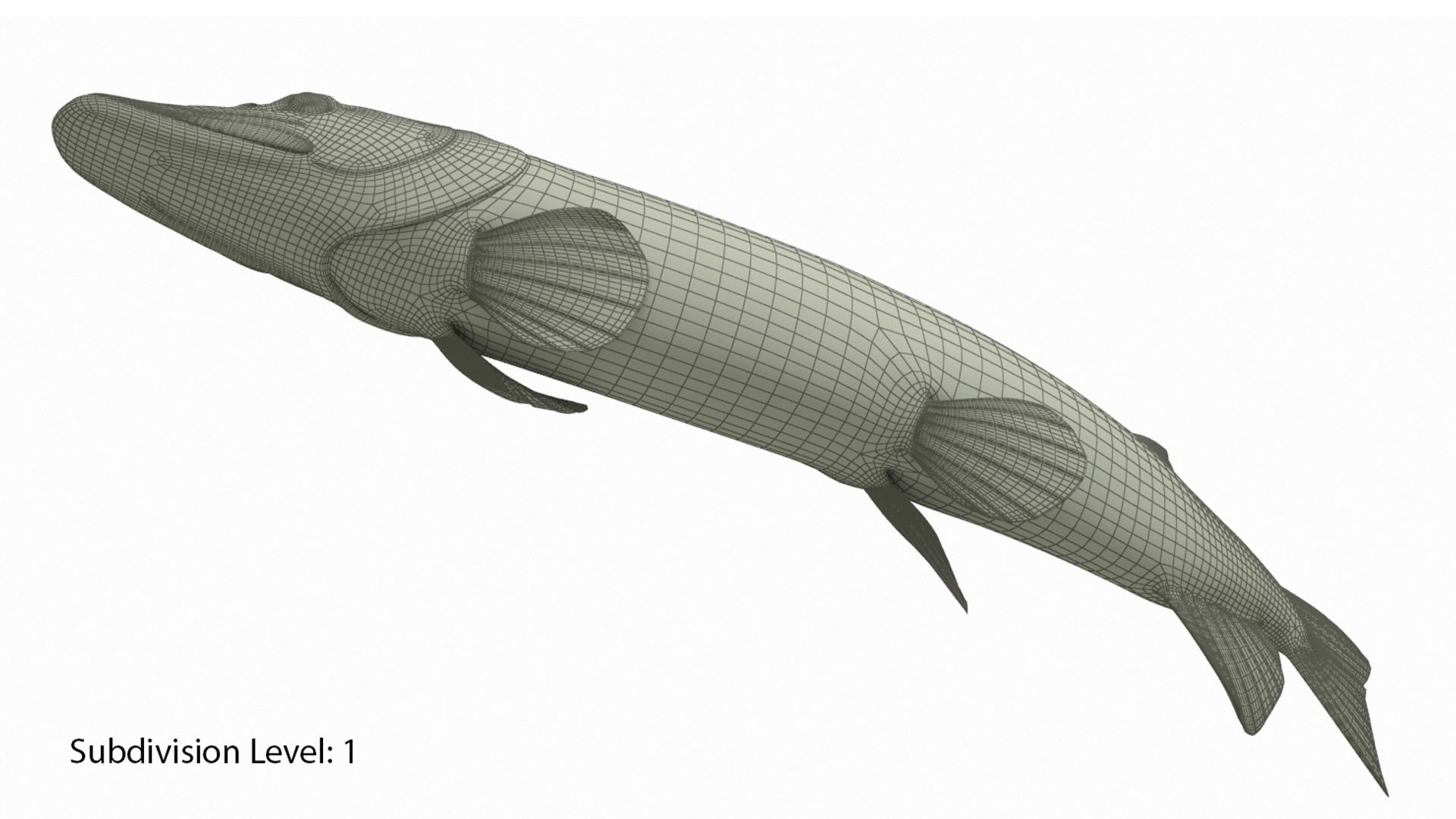 3D Pike Animated - TurboSquid 2359591