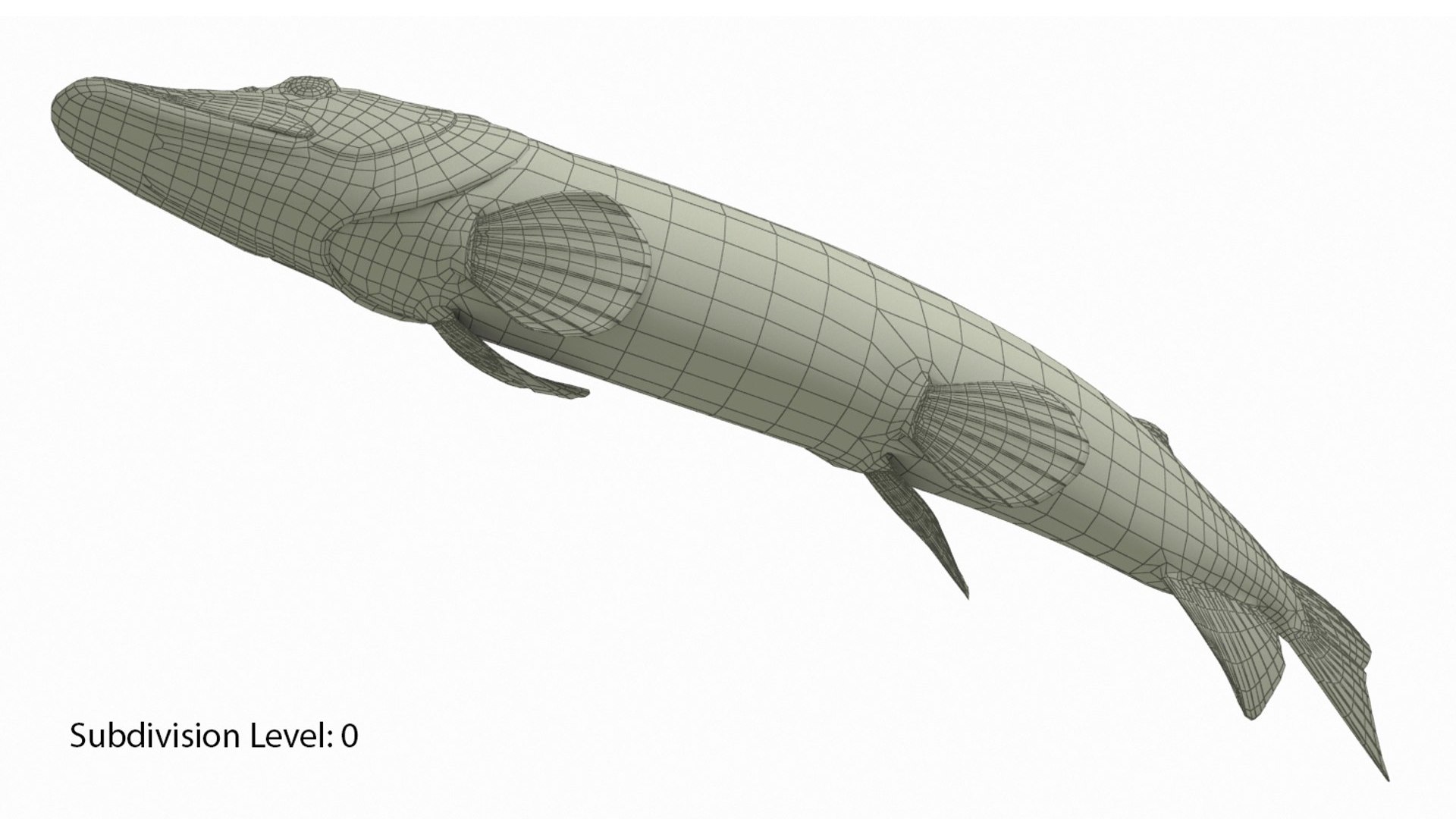 3D Pike Animated - TurboSquid 2359591