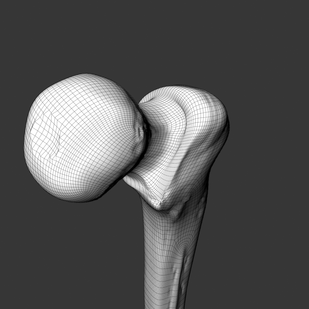 realistic femur 3d 3ds