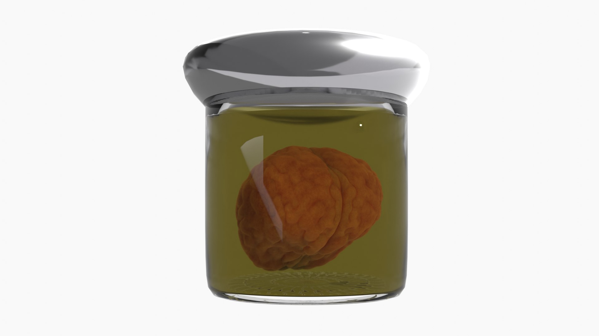 Human Brain In A Jar Model - TurboSquid 2199061
