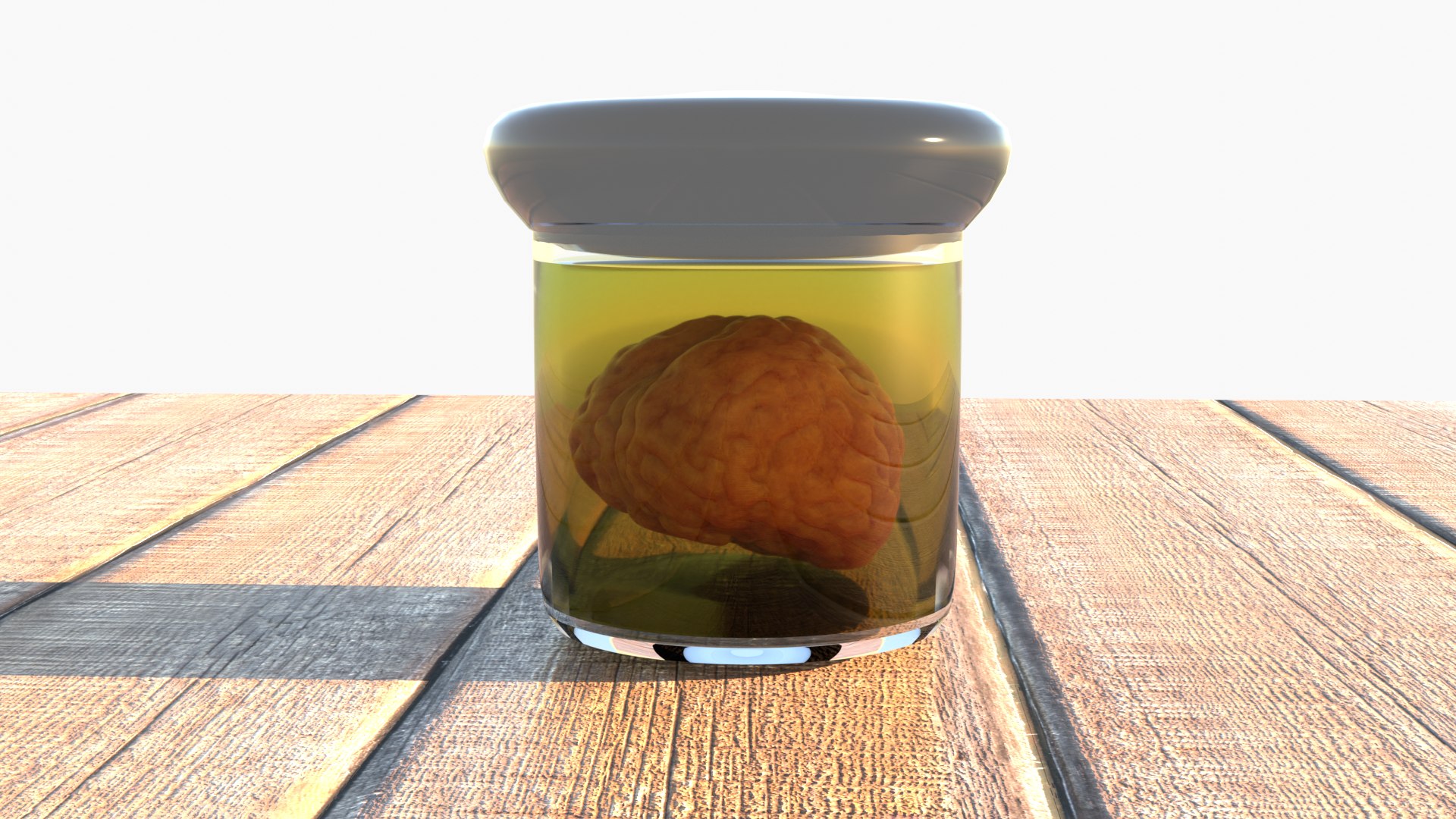 Human Brain In A Jar Model - TurboSquid 2199061