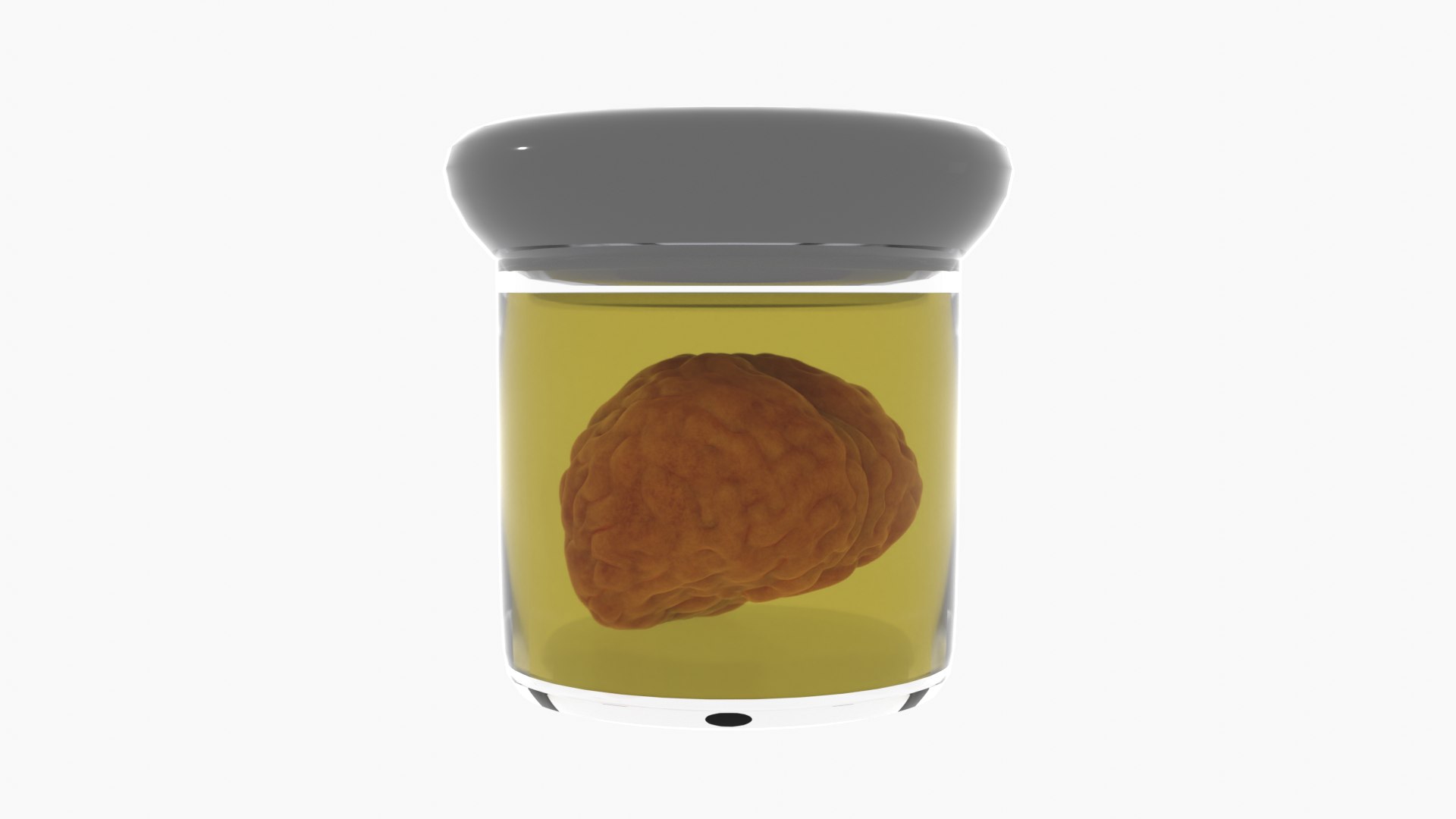 Human Brain In A Jar Model - TurboSquid 2199061