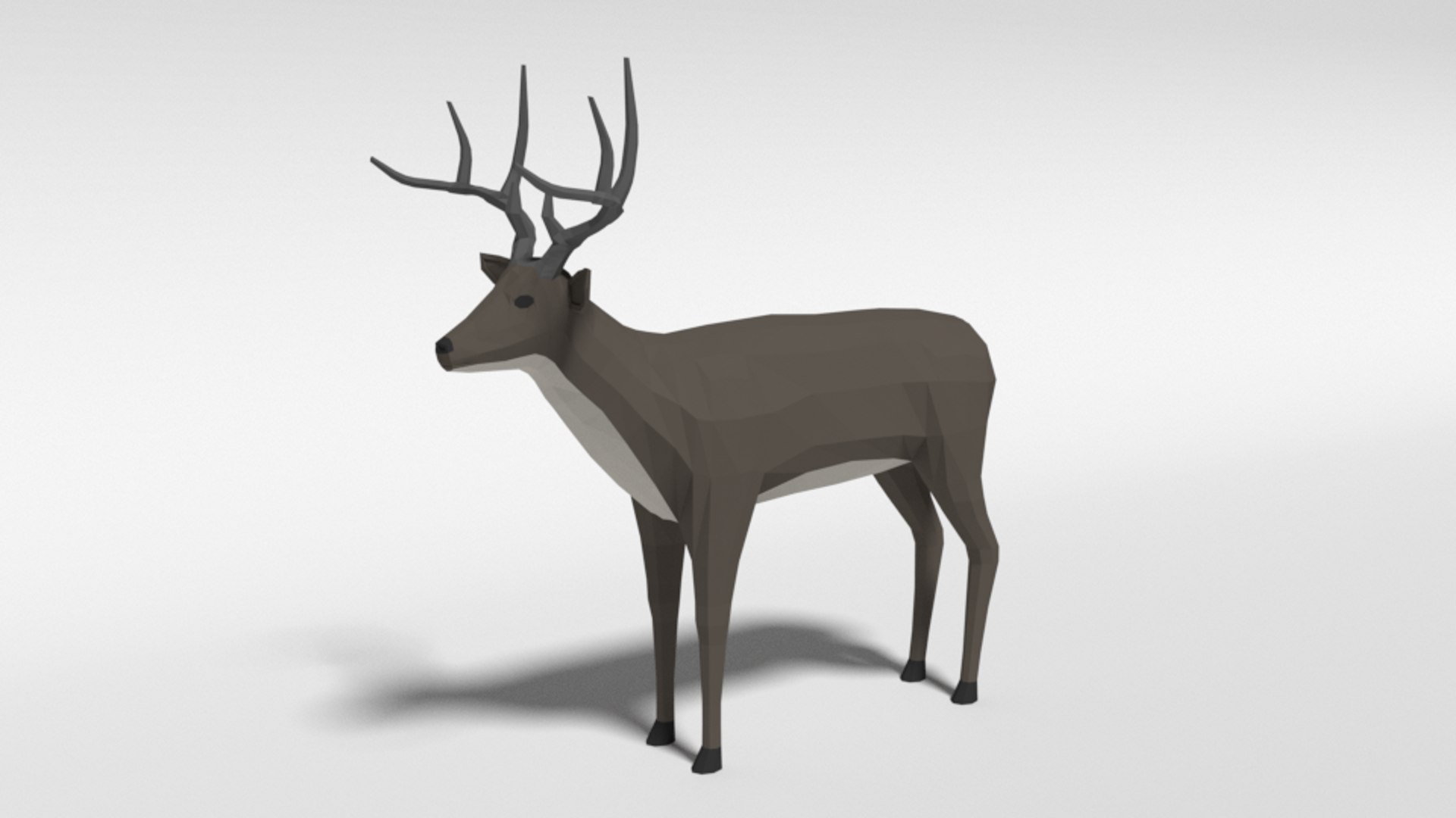 White-tailed Deer 3D Model - TurboSquid 1544100