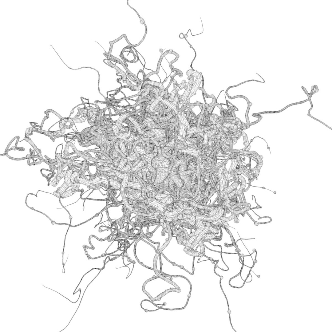 3d Organic Object Model