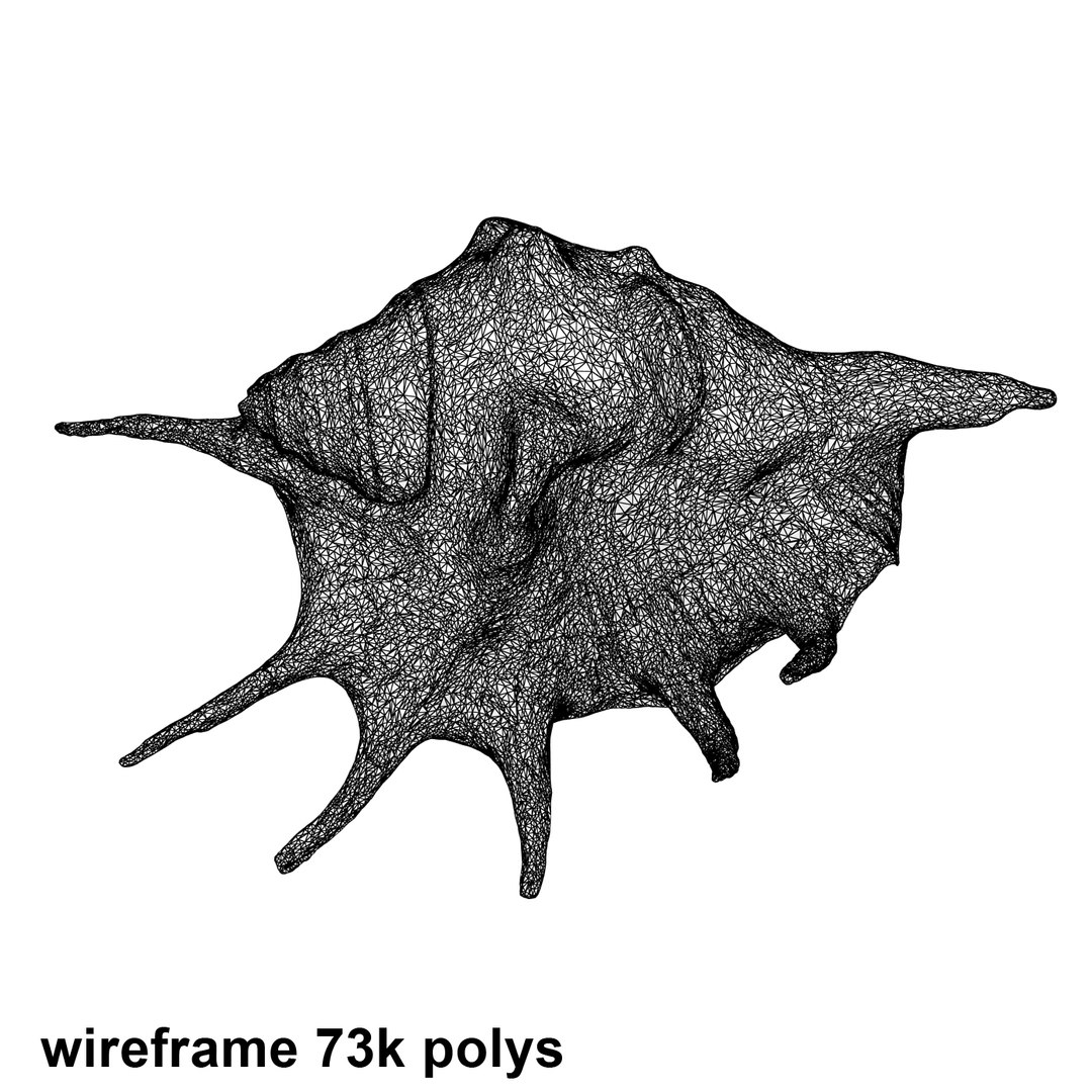 Spider Conch Shell 3d 3ds