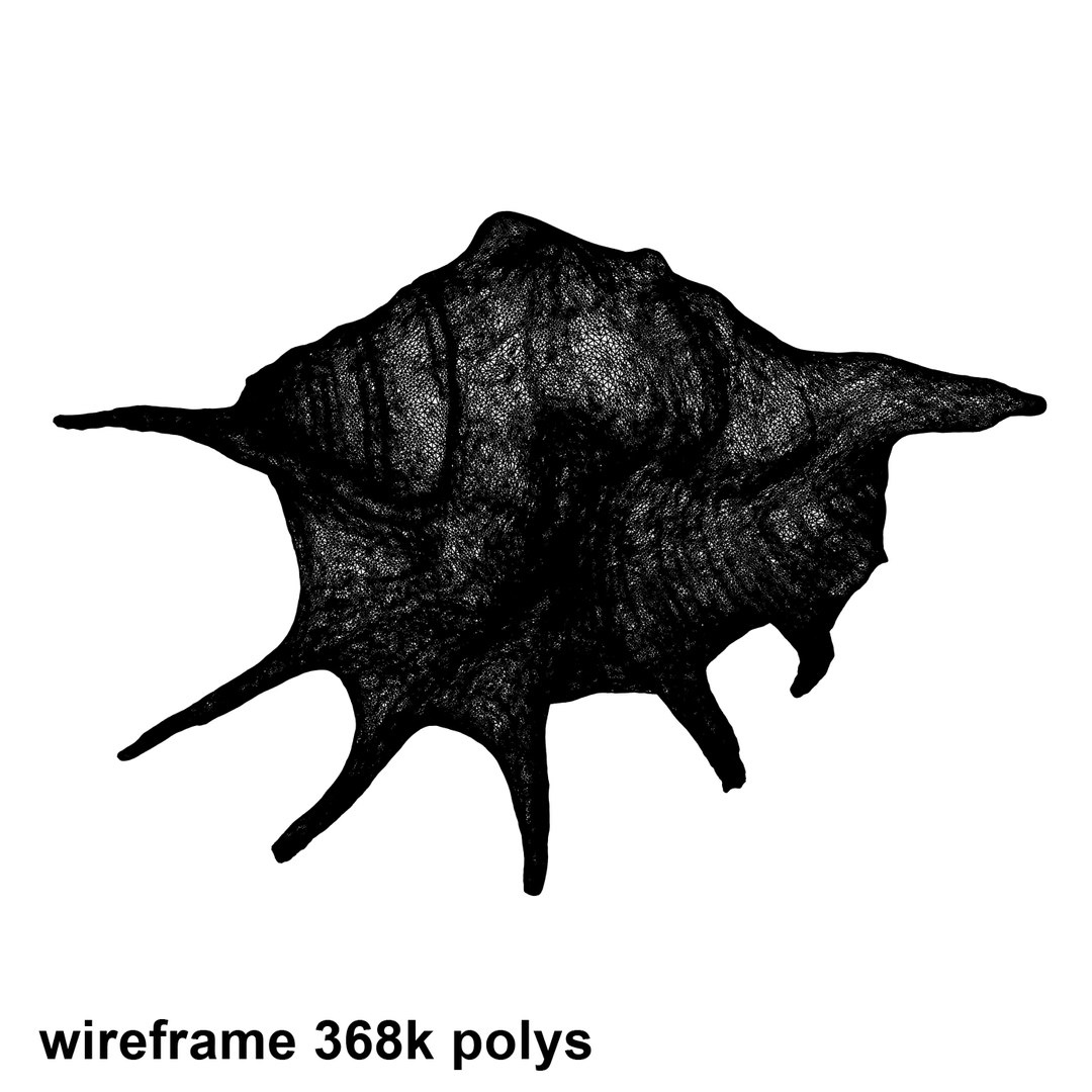 Spider Conch Shell 3d 3ds